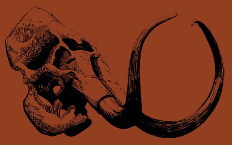 Emma Wilkins – Journalist and freelance writer