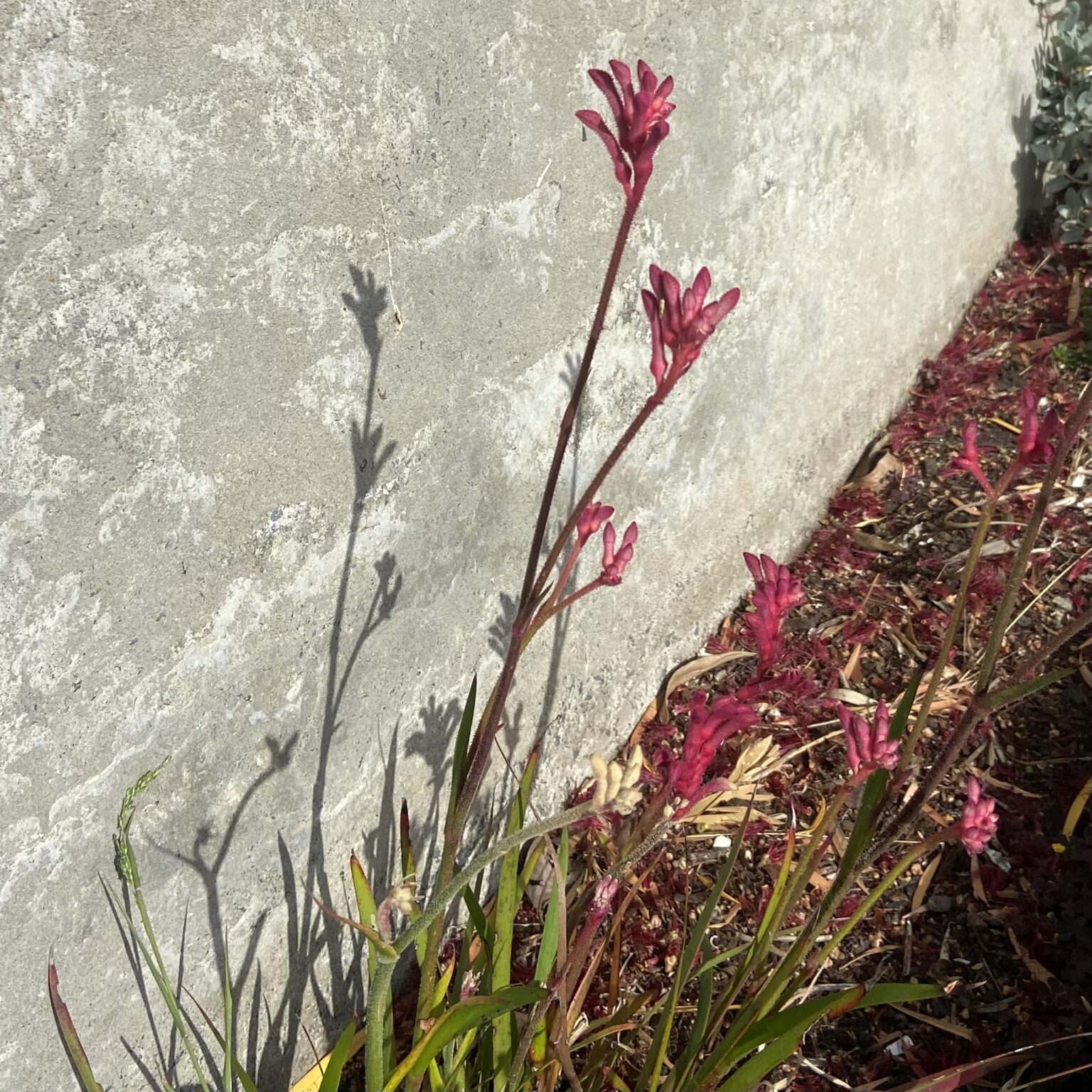 Emma Wilkins – Journalist and freelance writer