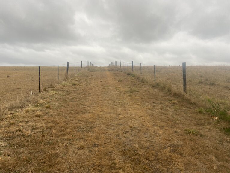 Emma Wilkins – Journalist and freelance writer